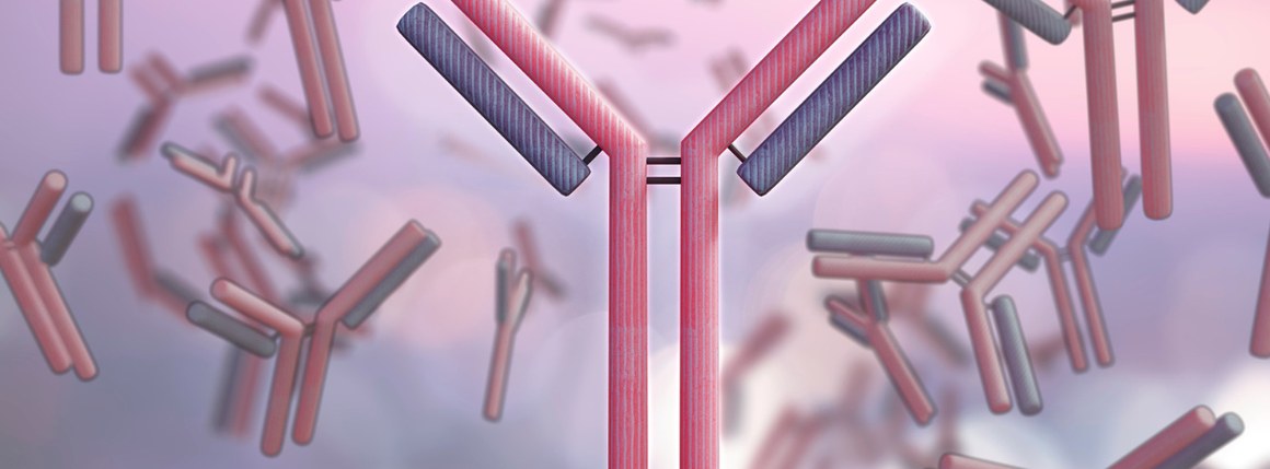 Balancing Rejection and Remission: Immune Checkpoint Inhibitors in ...