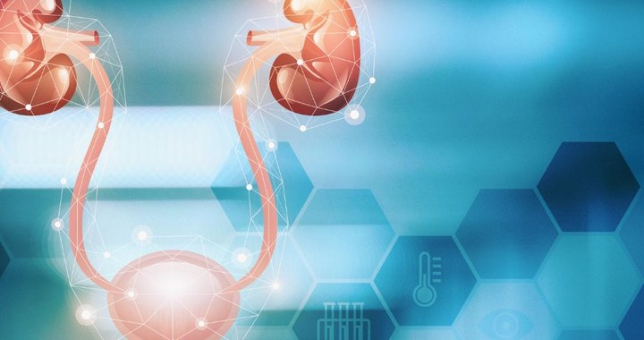 Pharmacist's Application to Practice | HOPA